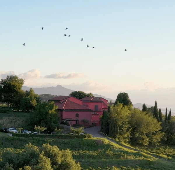 Farmhouse Tenuta San Michele | Murgo Winery 1860